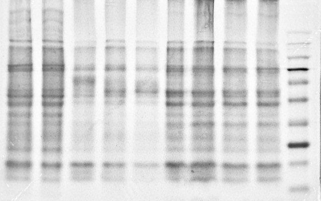 New Products - T-Pro Biotechnology